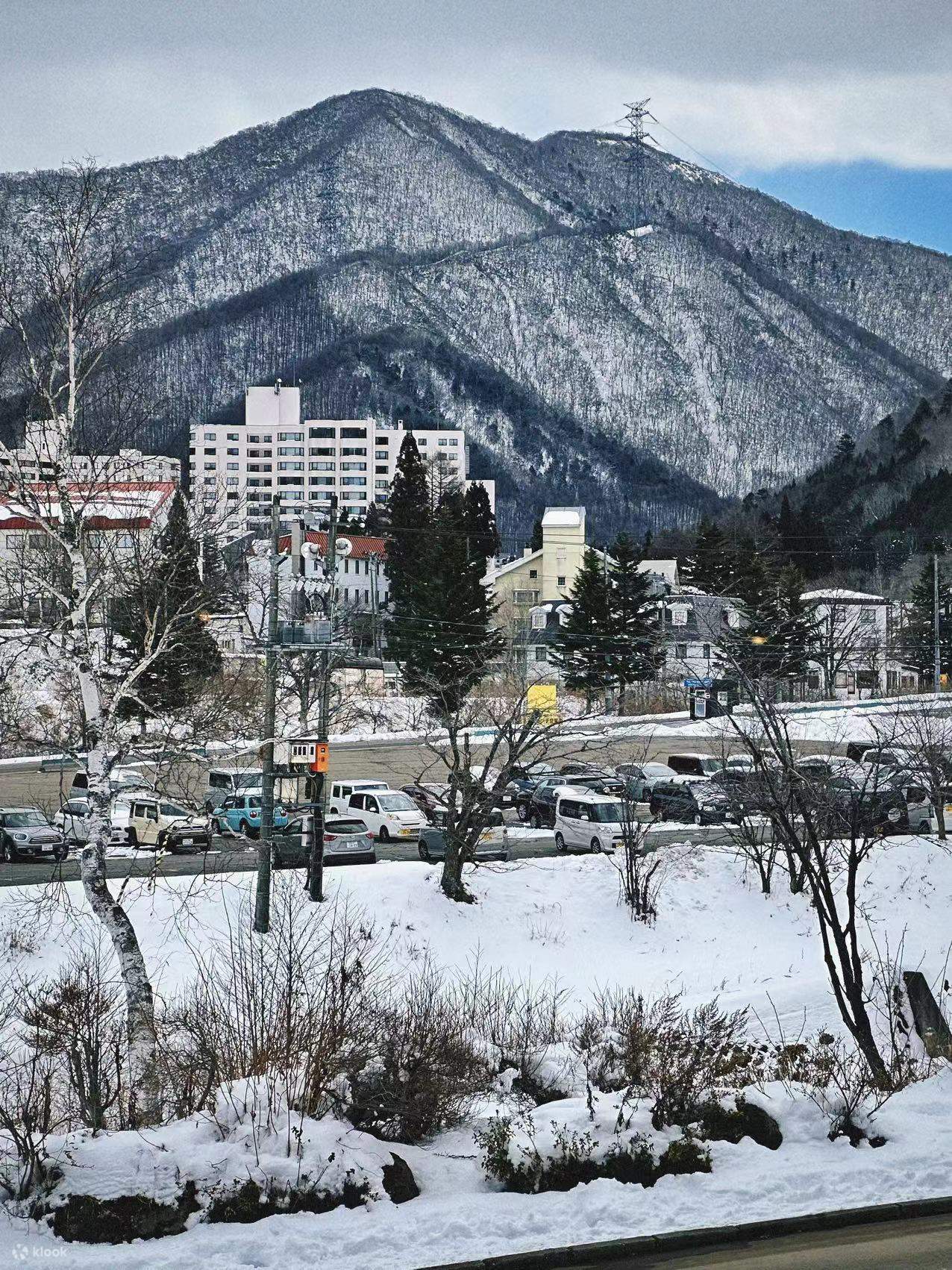 [Winter skiing only] Niigata Naeba Ski 2-Day Skiing Tour (Depart from ...